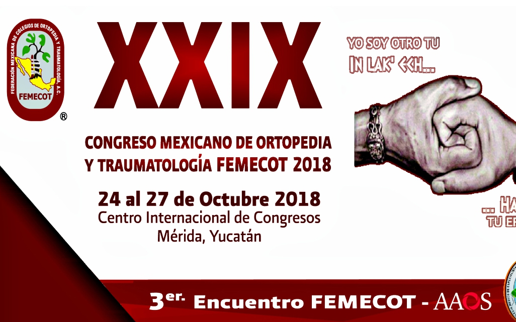 FEMECOT-thumb - Hemost